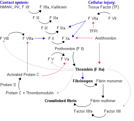 Coagulation for Water Treatment - Definition | AWC